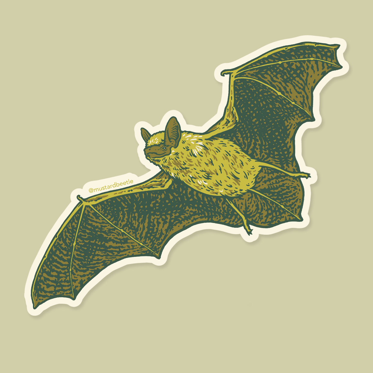 Canyon Bat Sticker – The Gamble House Bookstore