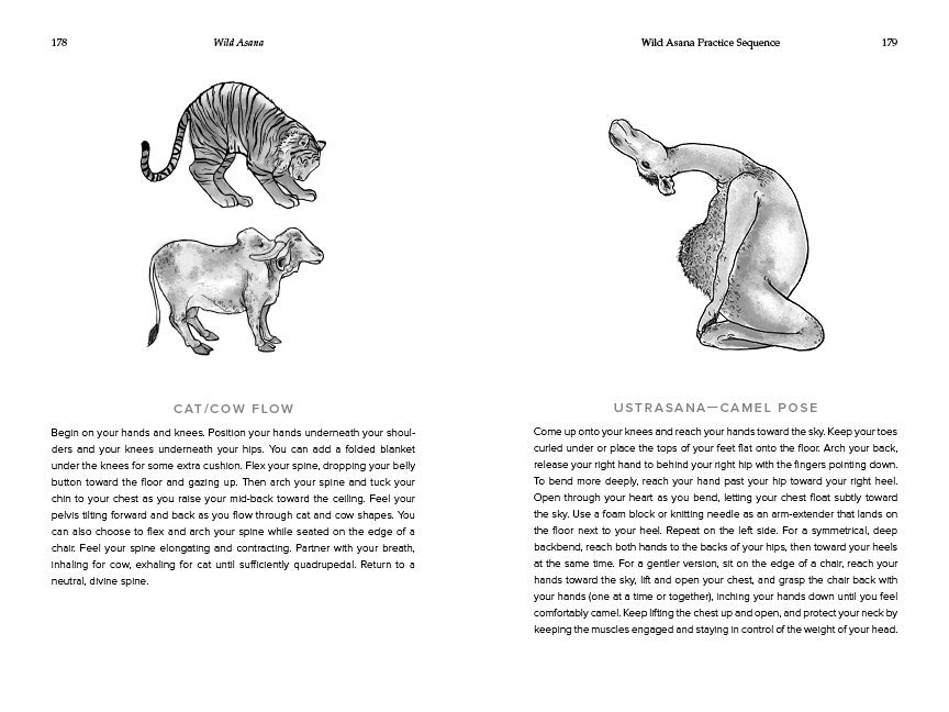 Wild Asana – The Gamble House Bookstore
